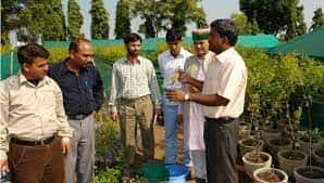 National Research Center on Pomegranate (NRCP), Solapur: Courses ...